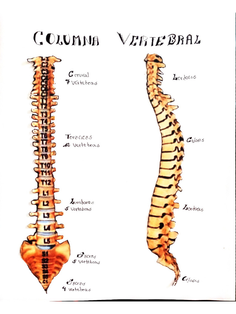 Lucinda Quenta Ortuño... | PDF