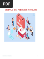 Primeros Auxilios Triptico | PDF | Primeros auxilios | Enfermedades y trastornos humanos