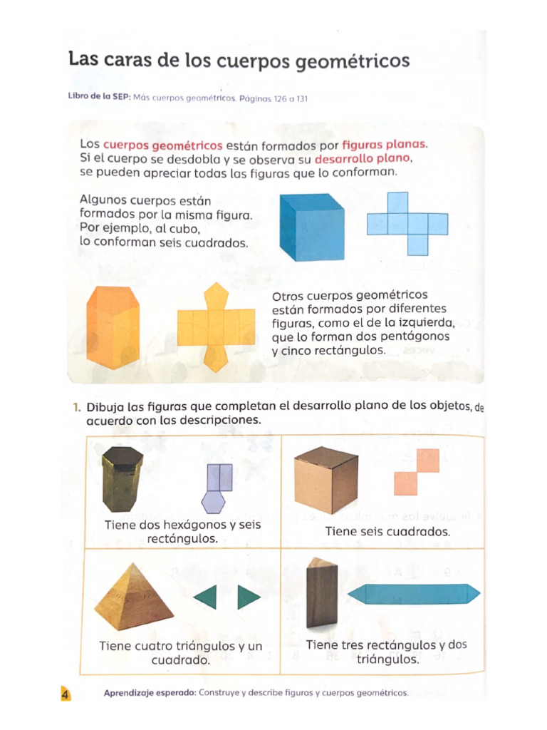 Las Caras de Los Cuerpos Geométricos | PDF