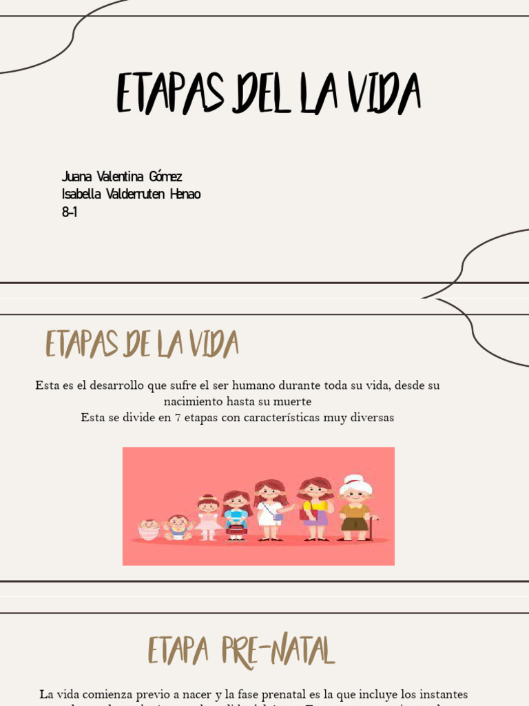 Las 7 etapas de la vida humana | PDF | Adolescencia | Envejecimiento