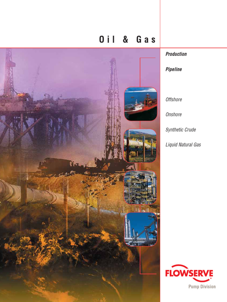 Bombas Flow Server | PDF | Pump | Extraction Of Petroleum