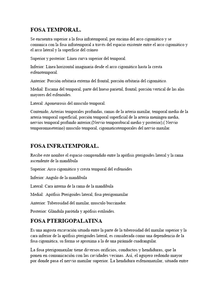 Fosa Temporal | Descargar gratis PDF | Sistema musculoesquelético ...