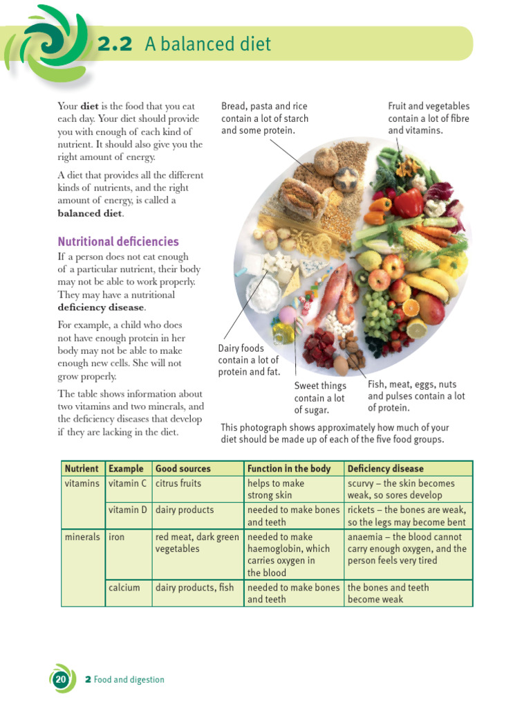 Balanced Diet | PDF | Foods | Diet (Nutrition)