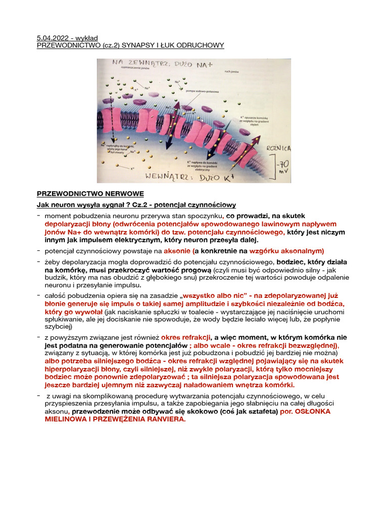 BPZ Wykład | PDF