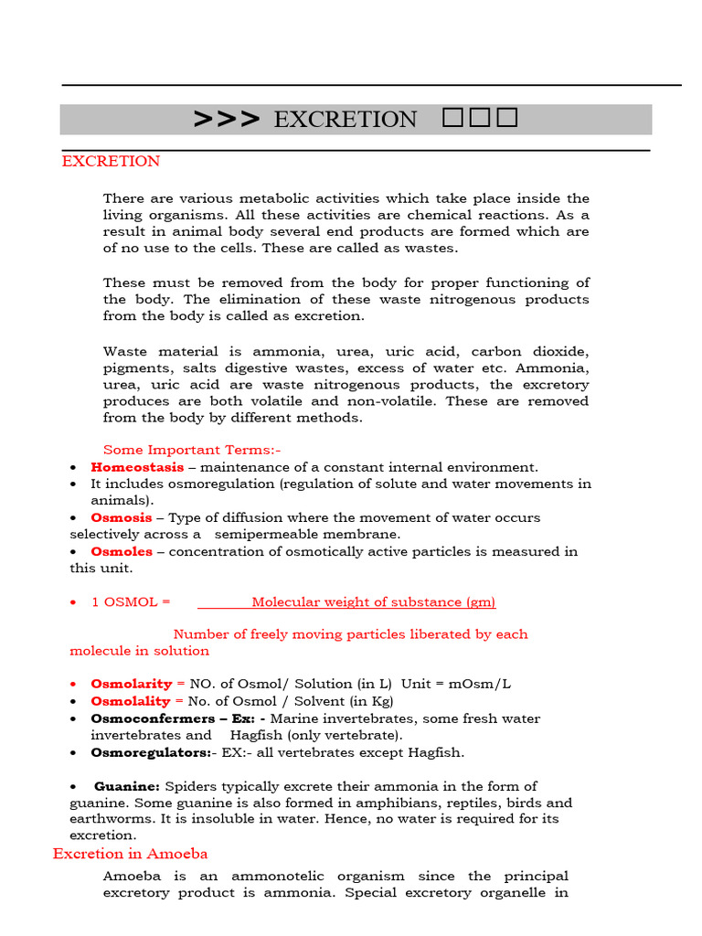 EXCRETION | PDF | Kidney | Excretion