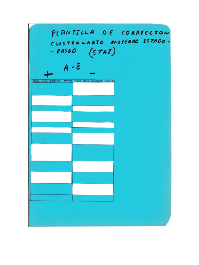 Plantilla de Correcion | PDF