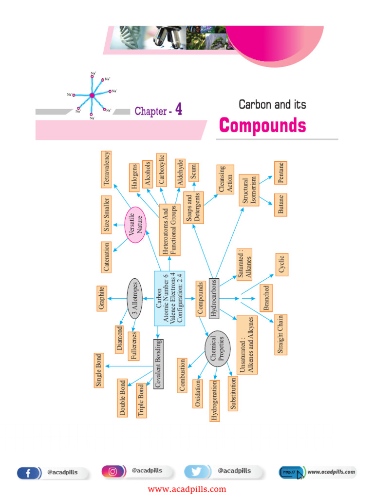 Carbon and Its Compounds | PDF | Carbon | Alkene