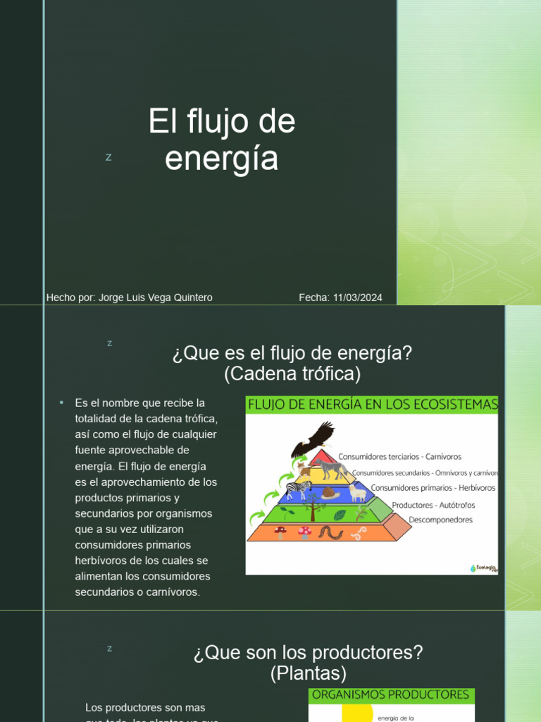 Flujo de Energía en la Cadena Trófica | PDF | Red alimentaria | Herbívoro