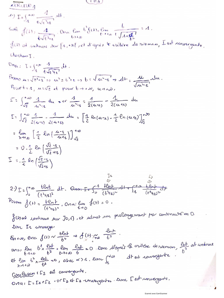 Corro td1 Analyse Intégrales | PDF