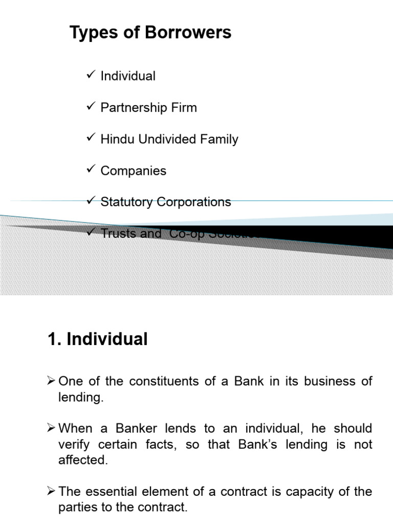 Types of Borrowers | PDF | Partnership | Companies