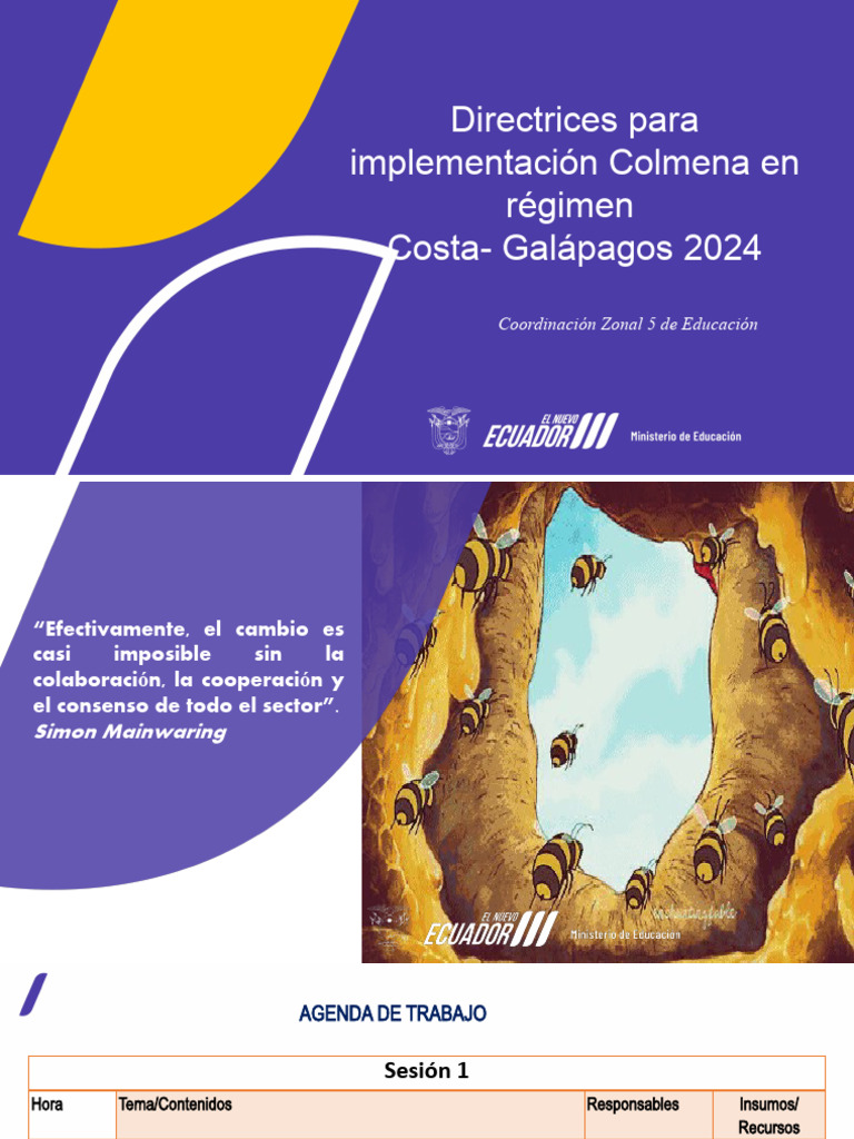 Primer Encuentro Colmena Z5-2024 | PDF | Invalidez | Planificación