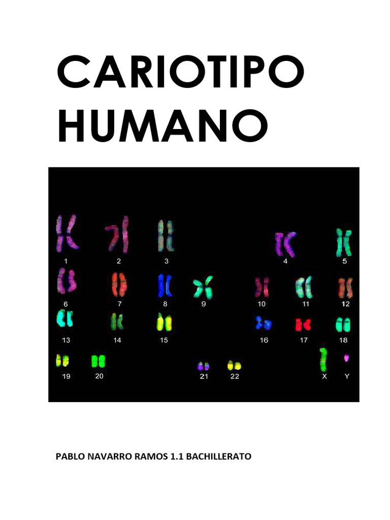 Cariotipo Humano Pablo Navarro Ramos | PDF | Cromosoma | Cromatina