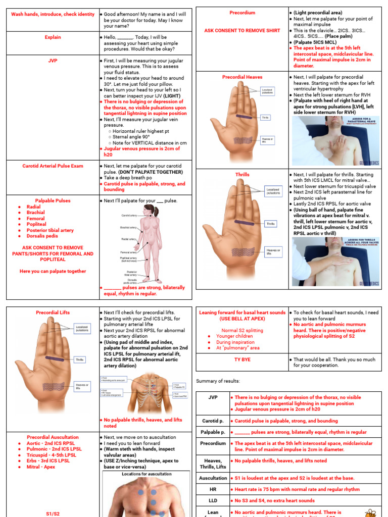 SCRIPT | PDF | Anatomical Terms Of Motion | Pulse
