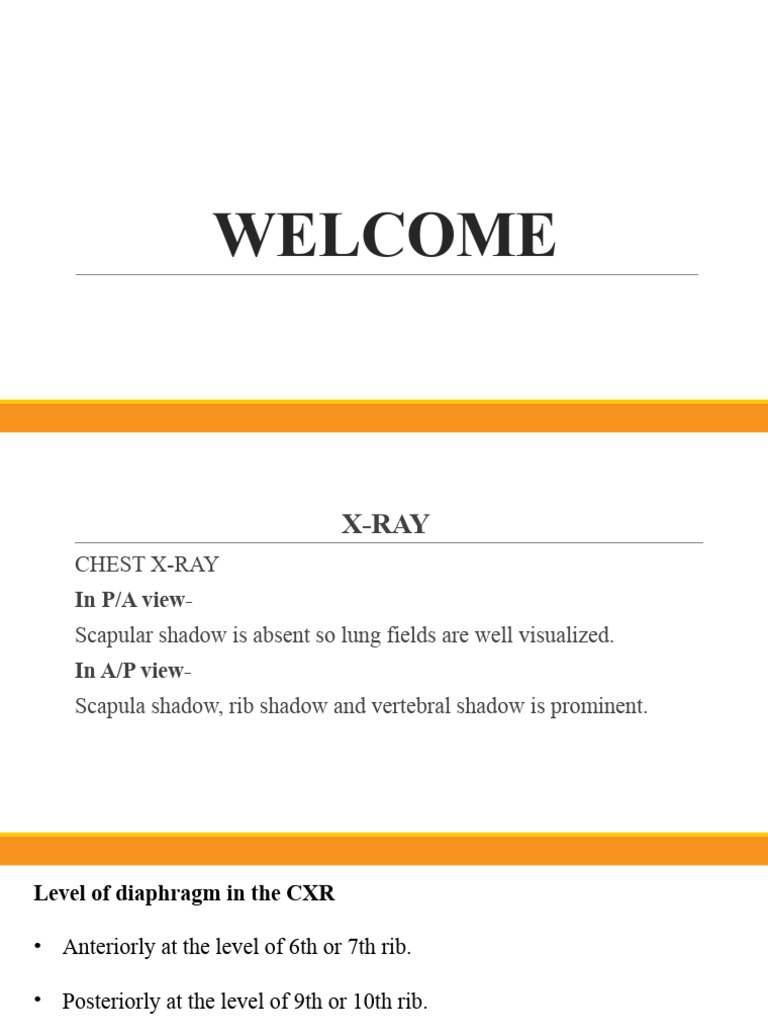 X Ray | Download Free PDF | Heart | Lung