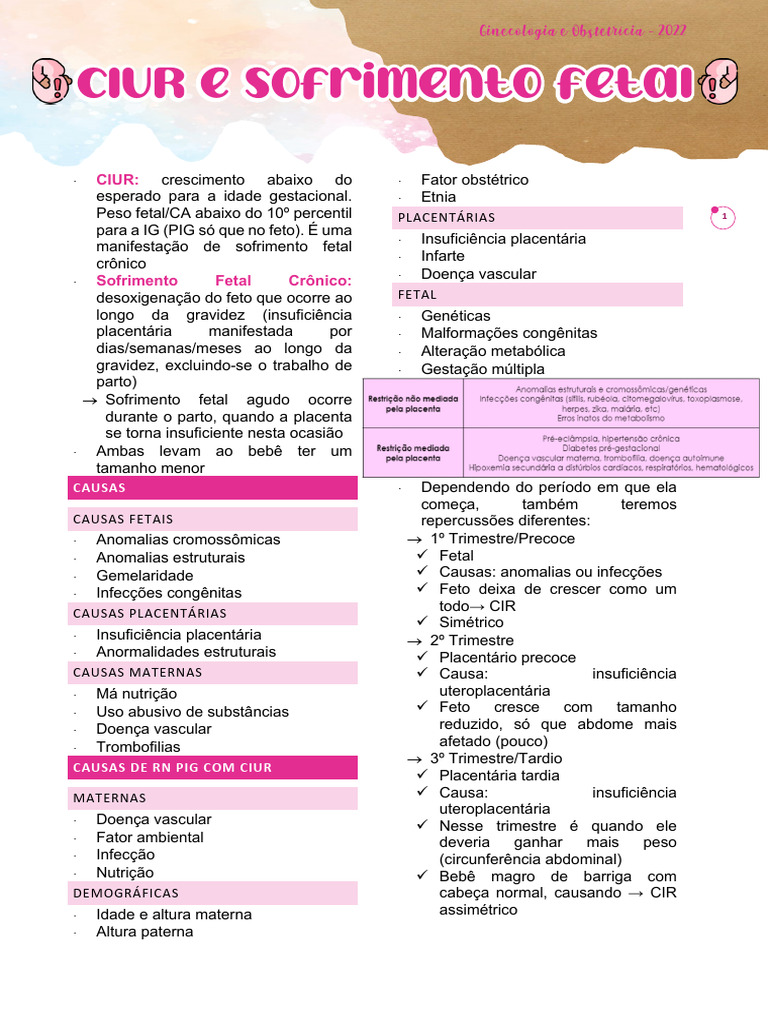 Ginecologia e Obstetrícia - CIUR e Sofrimento Fetal | PDF | Gravidez ...