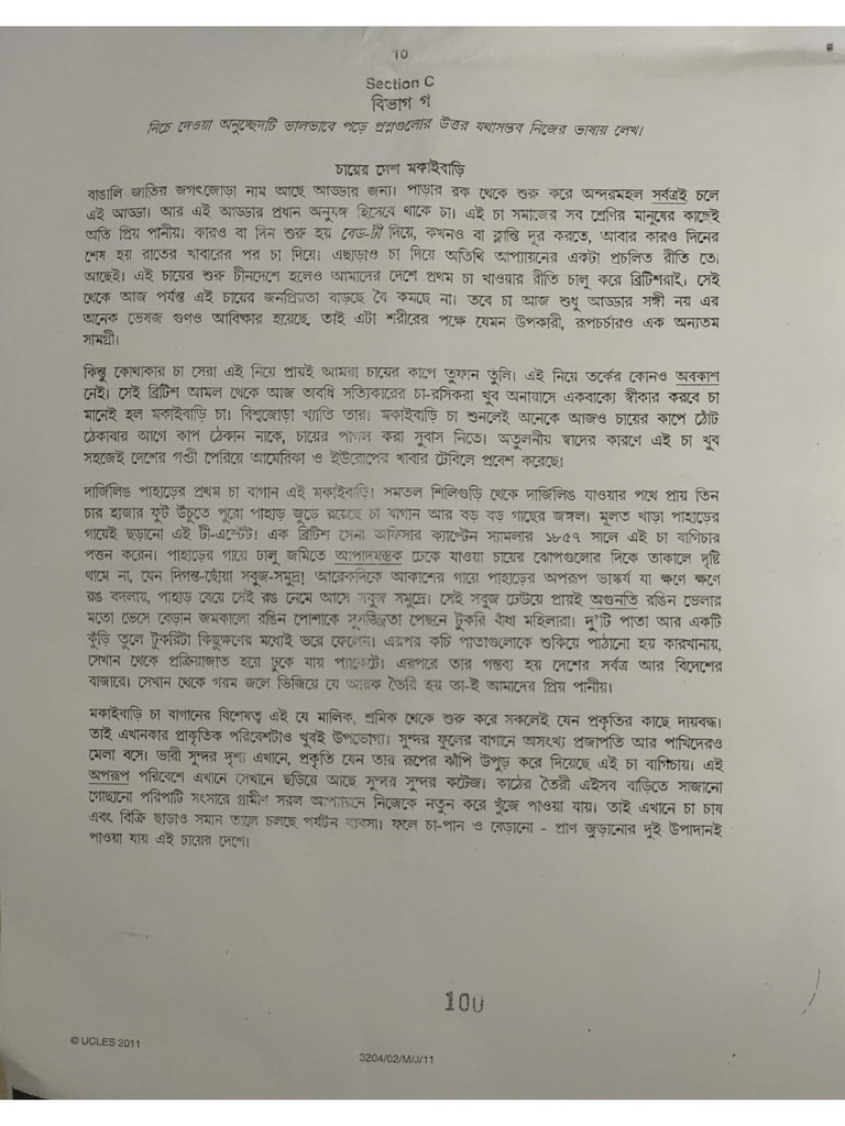 Bangla_Assignment _VIII (2) | PDF