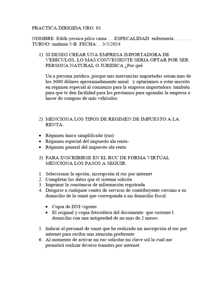 Practica Dirigida Nro 1 | PDF