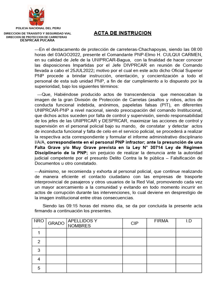 Acta de Instruccion | PDF | Policía | Gobierno