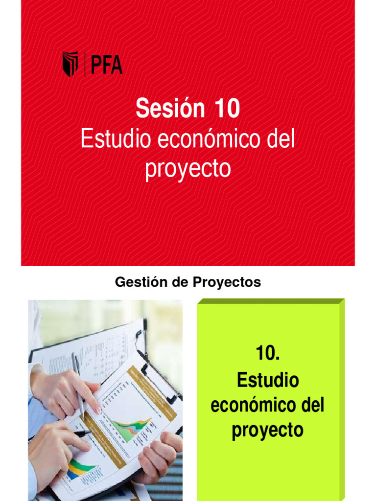 Estudio Económico de Proyectos | PDF | Presupuesto | Activo intangible