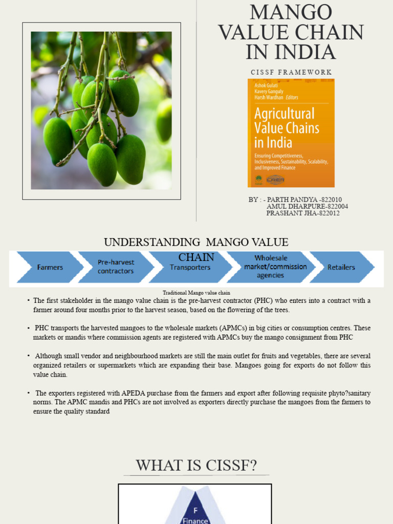 Mango Value Chain Insights | PDF | Credit | Finance & Money Management