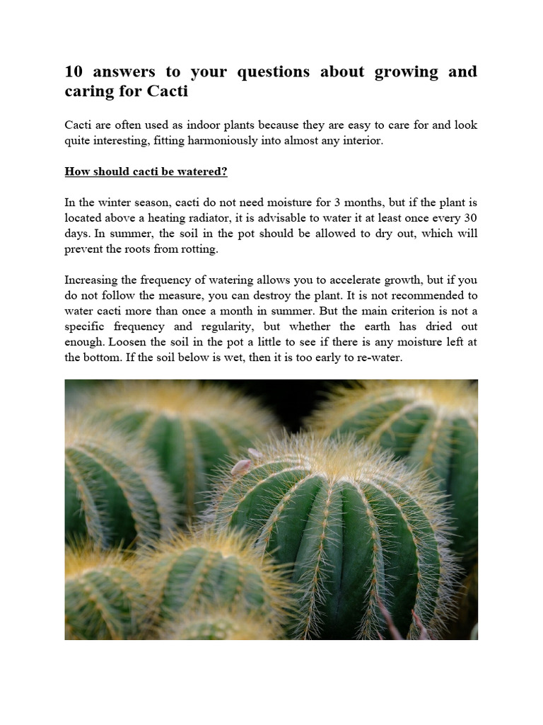 Cacti Care: Watering, Light, and Fertilizing Tips | PDF | Soil | Water
