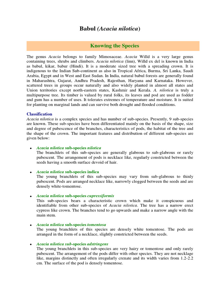 Babul (Acacia Nilotica) | PDF | Plant Nursery | Sowing