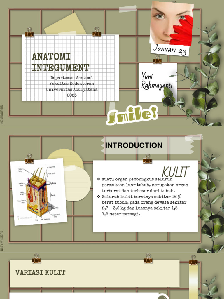 Anatomi Integumen | PDF