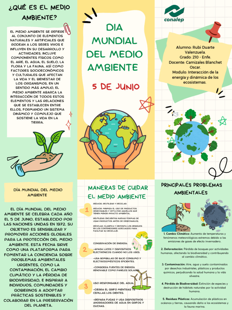 Dia Mundial Del Medio Ambiente 20240528 135125 0000 | PDF | Entorno ...
