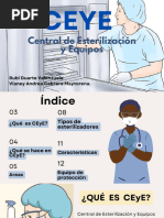 ÁREA DE ESTERILIZACIÓN en CEyE | PDF