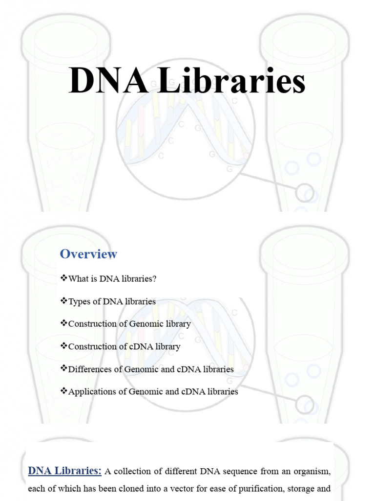 3 DNA Libraries | PDF | Complementary Dna | Primer (Molecular Biology)