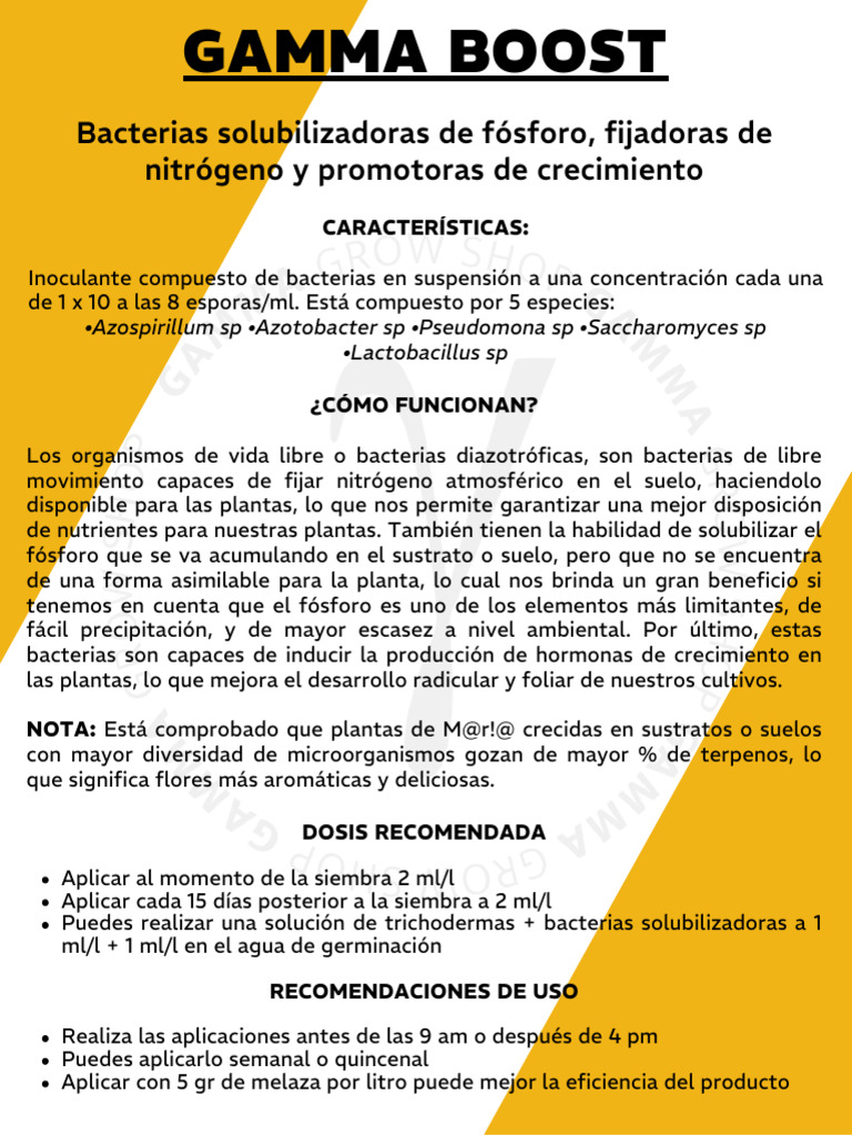 Gamma Boost 1 | PDF | Ciencia y matemáticas | Tecnología