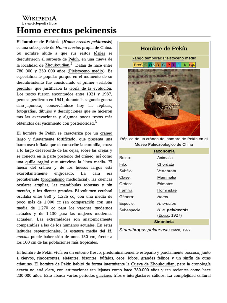 Homo Erectus Pekinensis | PDF | Antropologia Biologica | Evolución humana