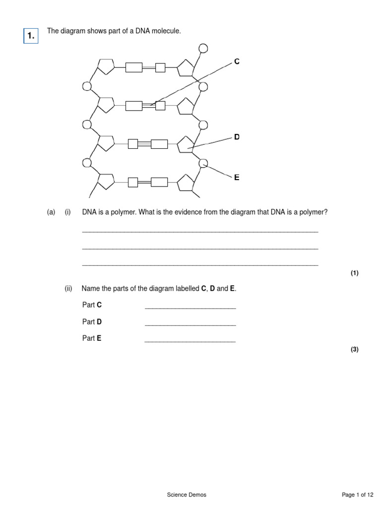 Biology 1 and 2 PPQ | PDF | Dna | Digestion