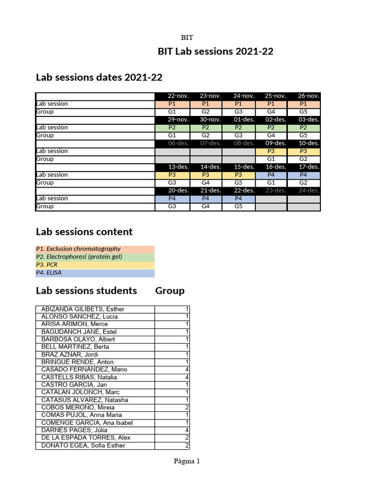 BIT Lab Teams and Sessions 2021 v2 | PDF