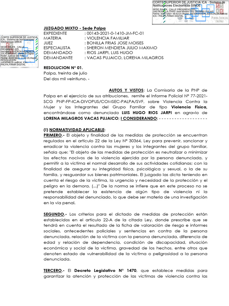 Violencia Familiar: Caso Palpa | PDF | La violencia contra las mujeres | Mandato