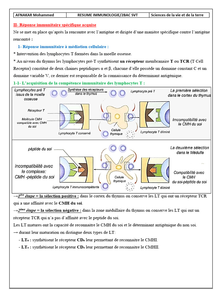 Résumé de l'immunologie 2BAC SVT | PDF | Lymphocyte T | Système immunitaire