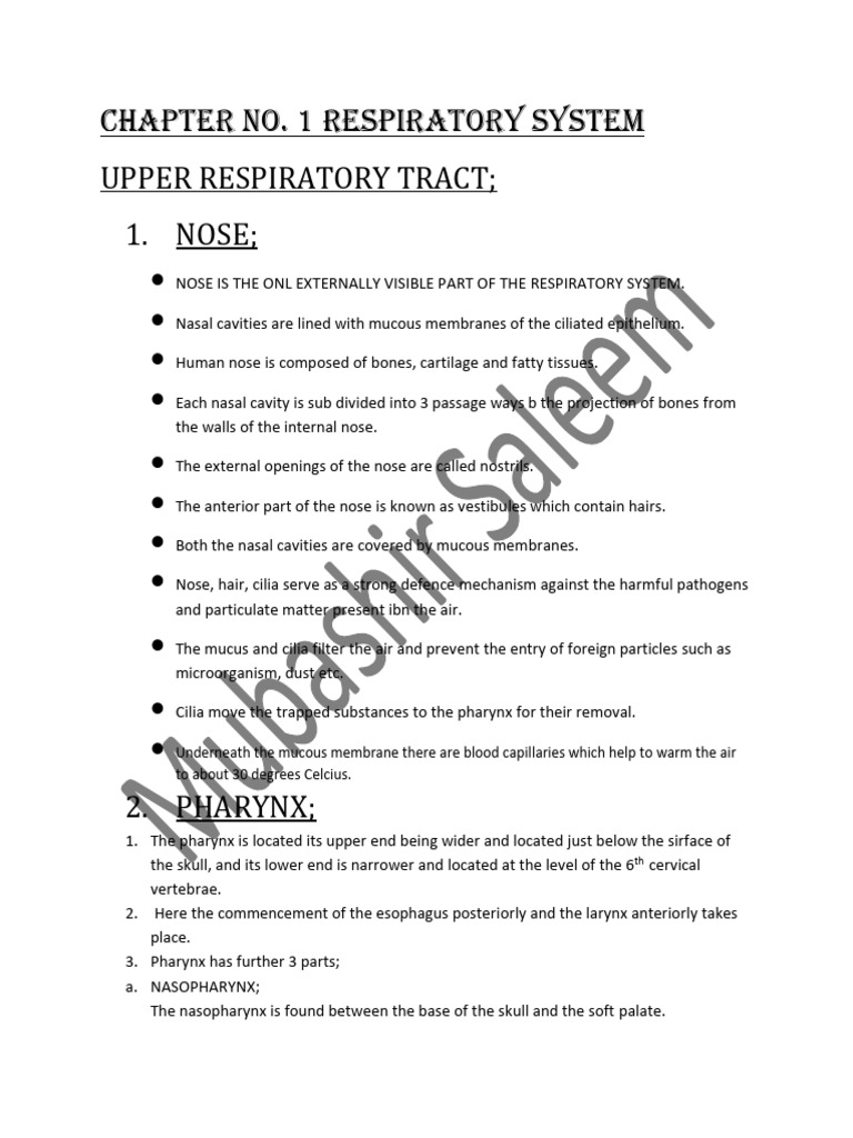 Chapter 1 Respiratory' | PDF | Lung | Respiratory Tract