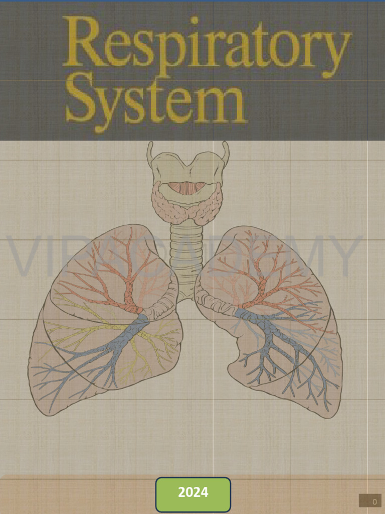 Respiratory | PDF | Respiratory Tract | Lung