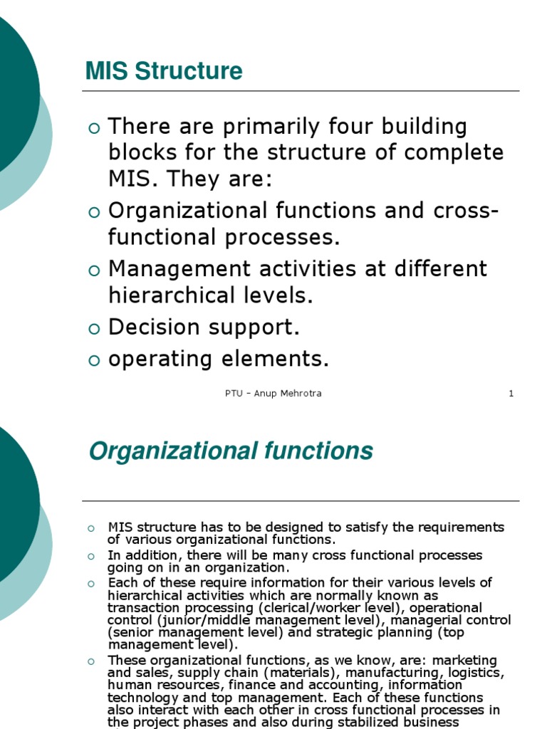 MIS Structure: PTU - Anup Mehrotra 1 | PDF | Decision Support System ...