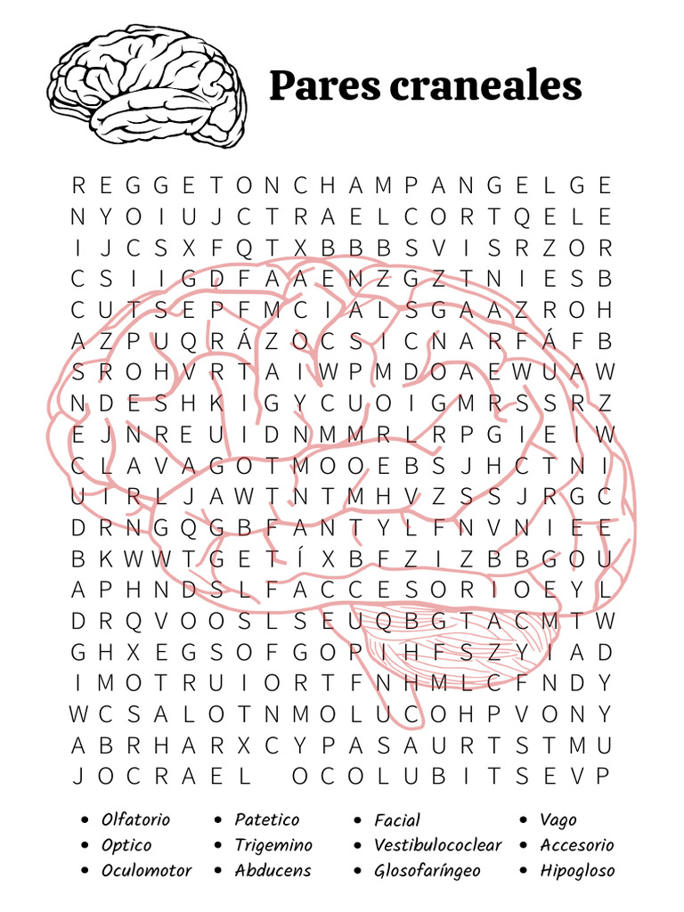 Sopa de Letras Pares Craneales | PDF