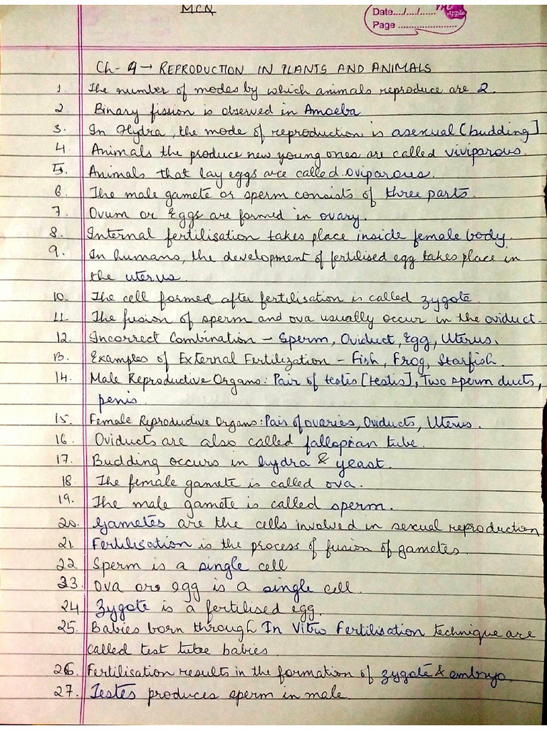 Reproduction in Animals fill in the blanks | PDF