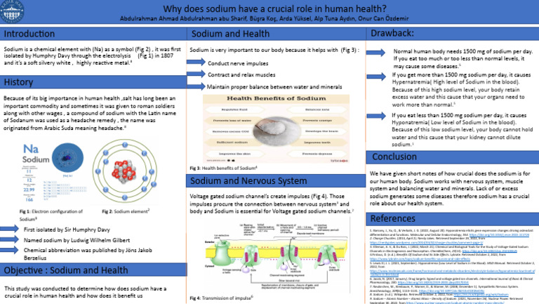 Crucial Role of Sodium in Health | PDF | Sodium | Chemistry