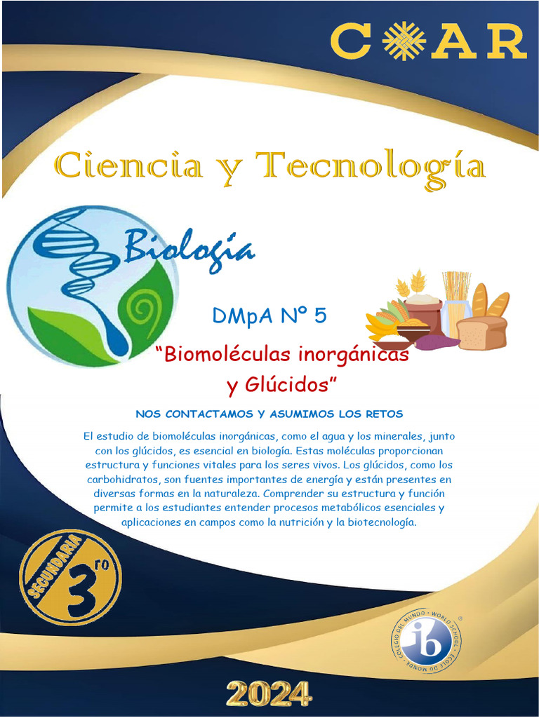 DMpA 5 - CyT - Biología - 3ro de Secundaria - 2024 | PDF | Carbohidratos | Polisacárido