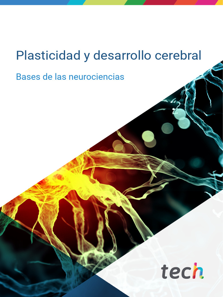 Neurociencias M1T6 | PDF | Neuroplasticidad | Neurona
