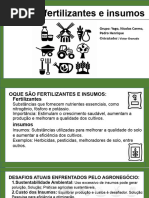 Concorde ICL Brazil | PDF | Agricultura