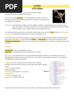 Aves Clasificacion y Plumas | PDF | Pluma | Ornitología