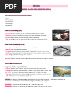 Anatomía de Aletas en Peces | PDF | Cordados | Pescado