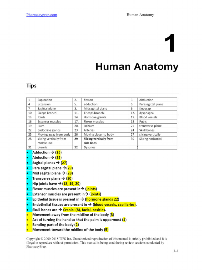 Misbah Answers | PDF