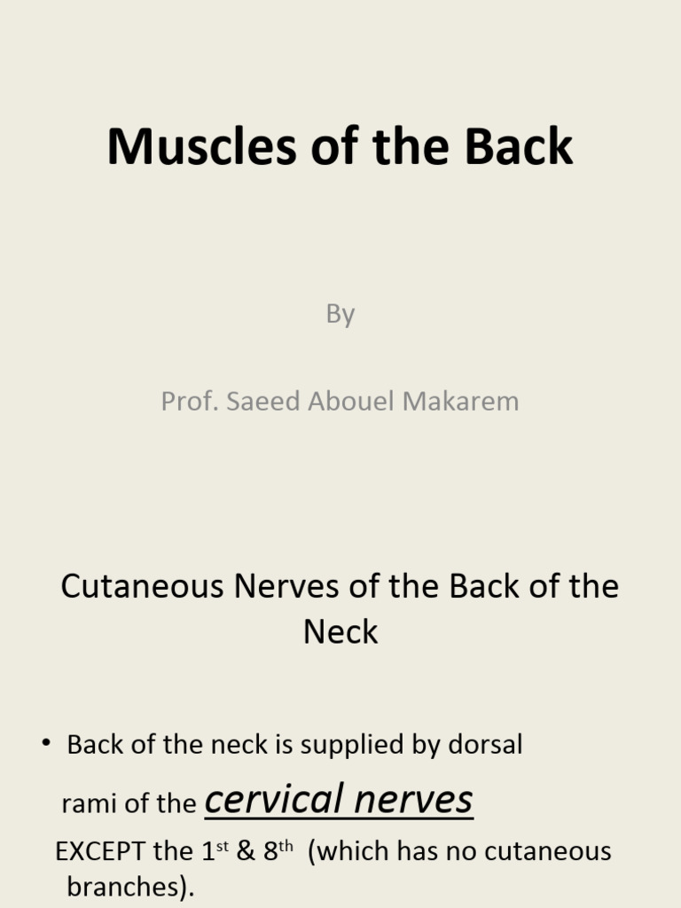 06-Deltoid Back & Scapular Muscles | Download Free PDF | Anatomy ...