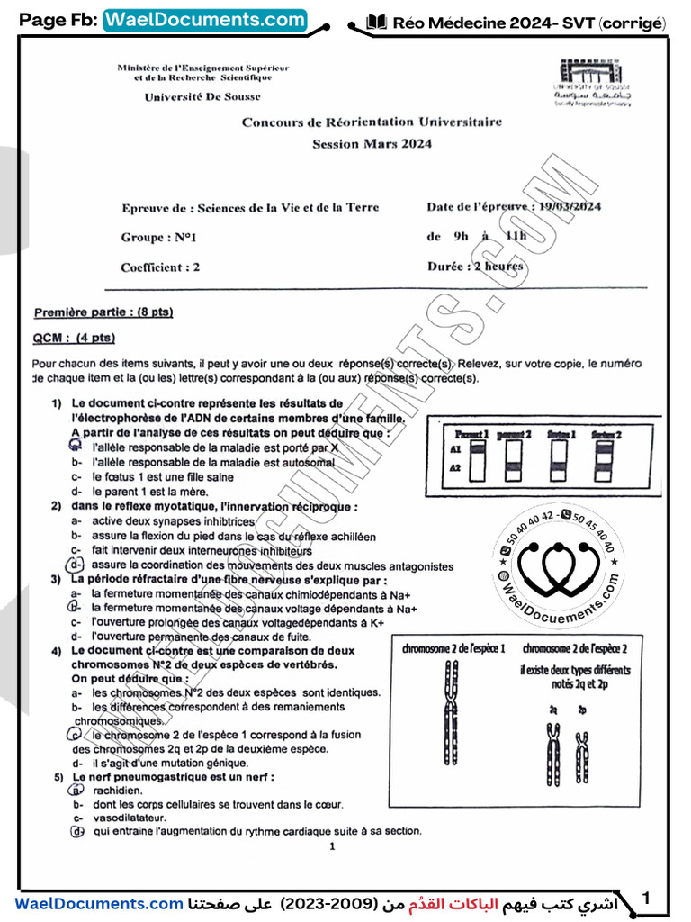 Réo Médecine 2024 - SVT Corrigé | PDF